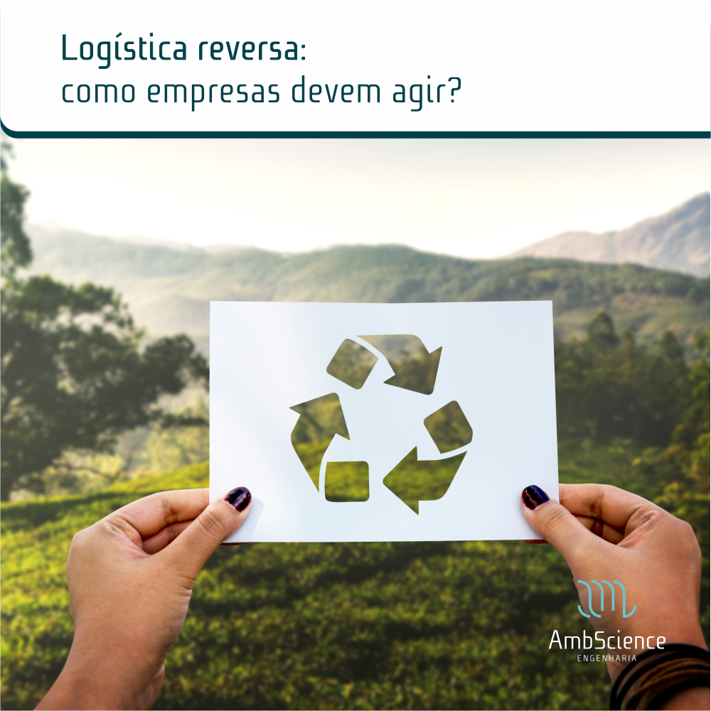 Logística reversa: como empresas devem agir? | AmbscienceAmbScience