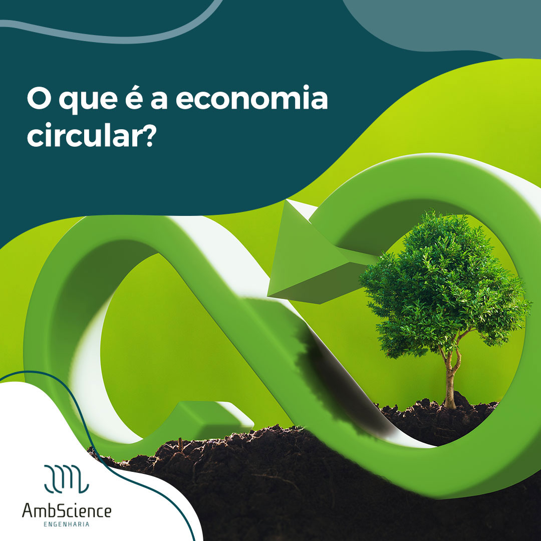 O que é economia circular? Tudo o que você precisa saberAmbScience