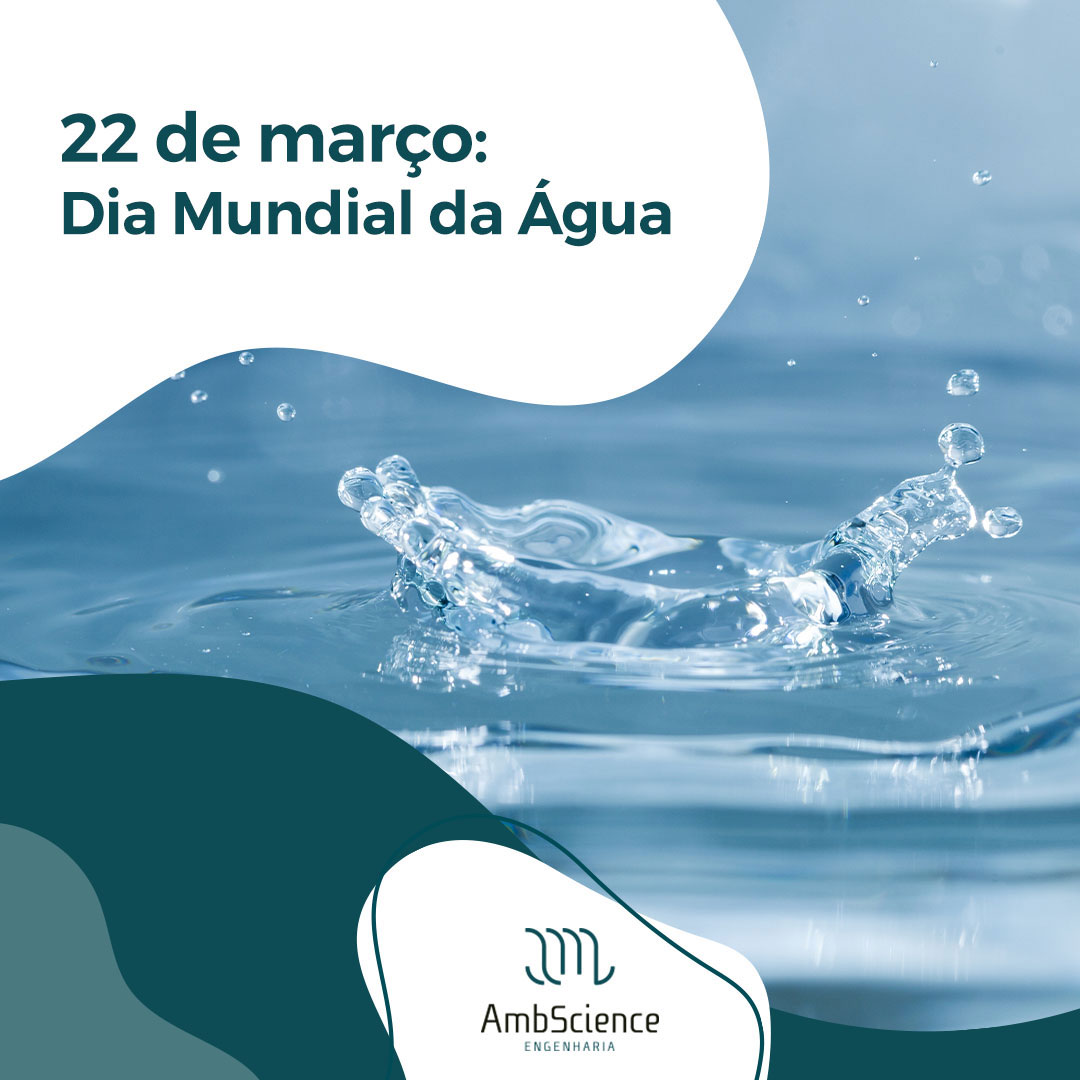 22 de março - Dia Mundial da Água: quais reflexões essa data nos traz ...